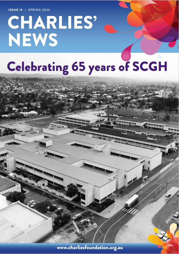 Panel - Charlies Foundation